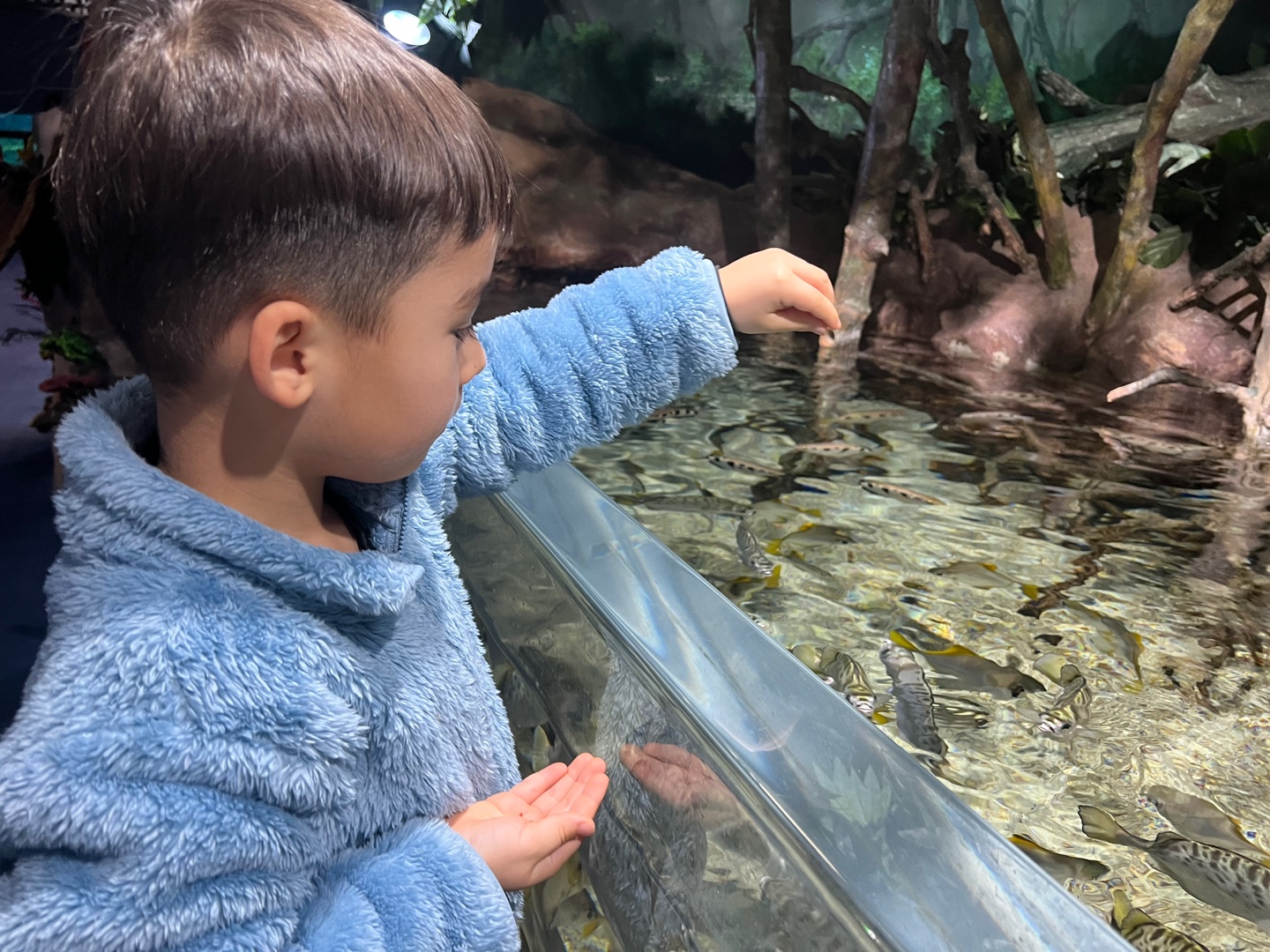 Mason Marley – the life and times of my son